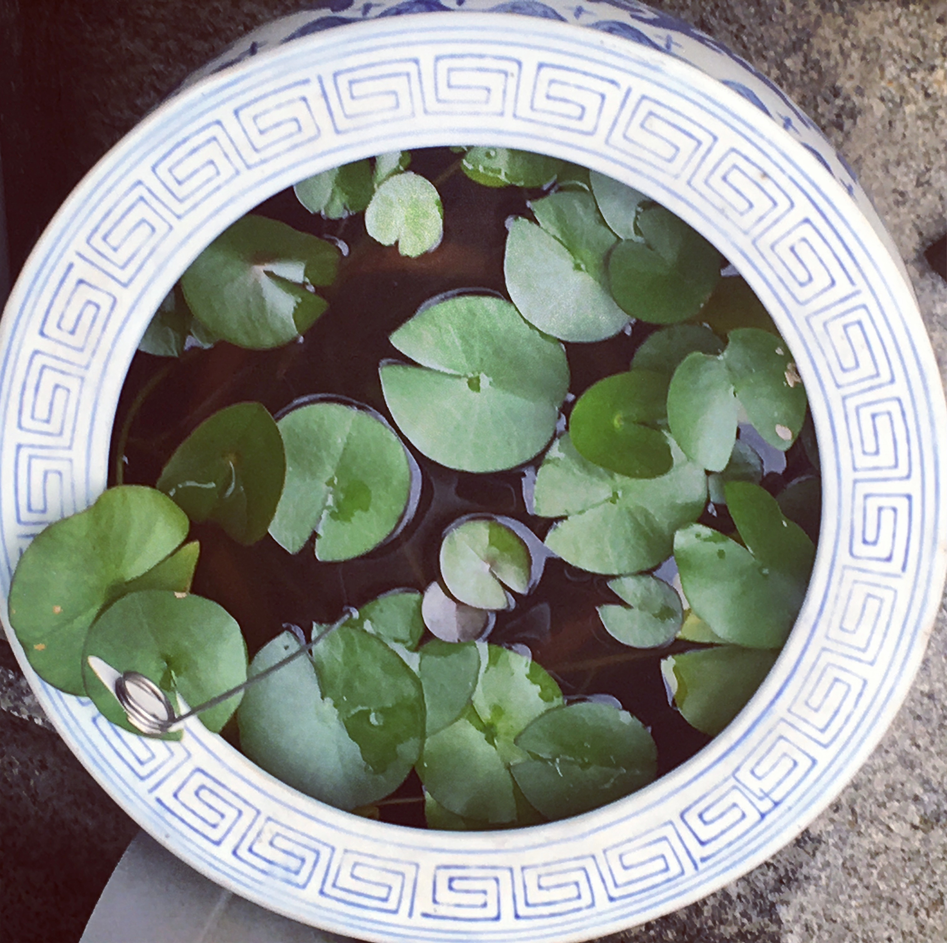 Poetry Portfolio – Lindsay Stuart Hill